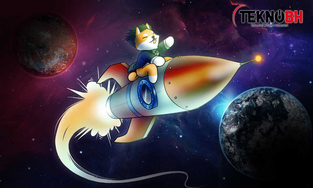 Elon Coin Nedir? (Dogelon Mars) Geleceği ve Yorumları | TEKNOBH